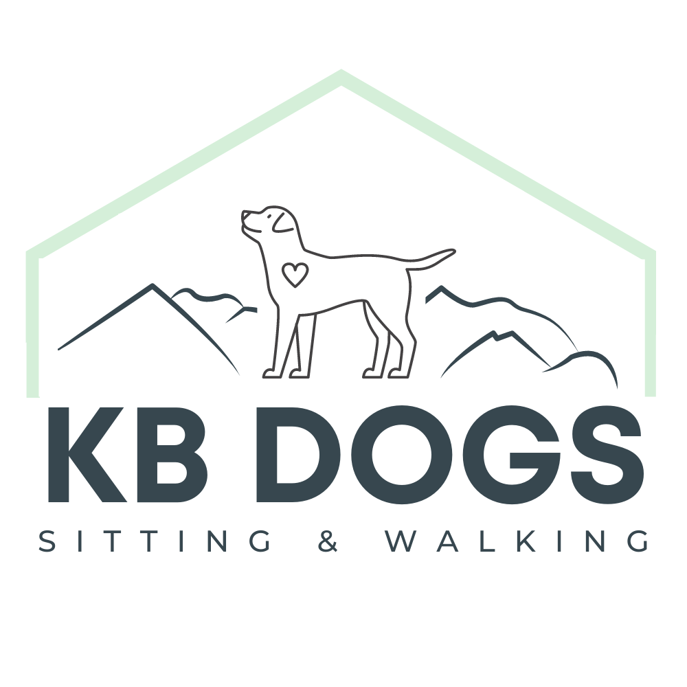 KB DOGS | Hundebetreuung in Kitzbühel
