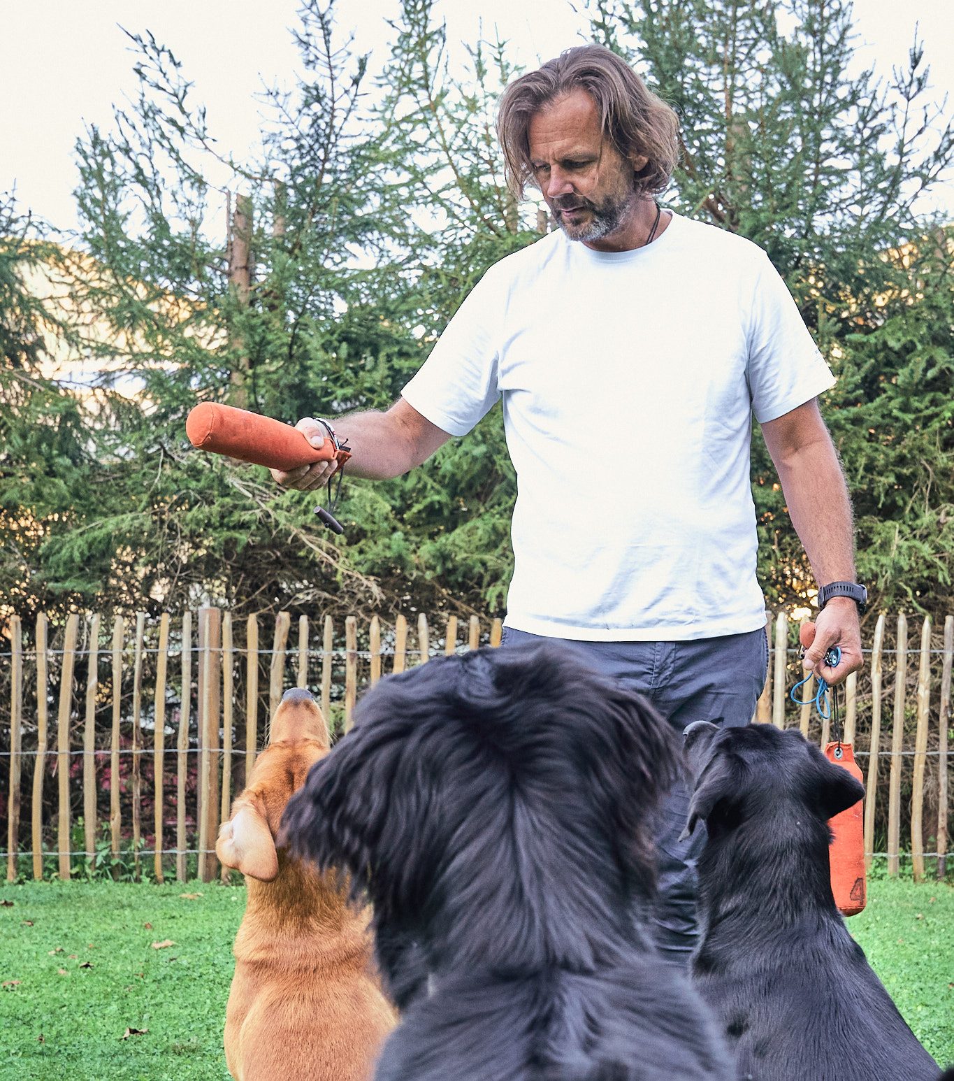 KB DOGS | Hundebetreuung in Kitzbühel